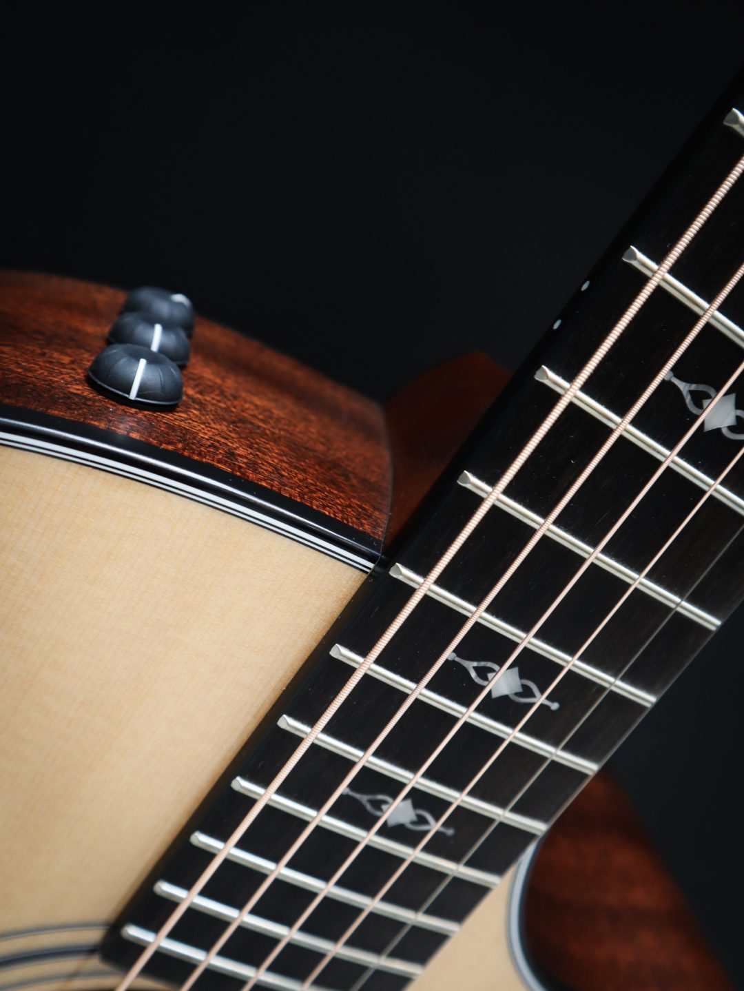 Taylor 314ce V-Class bracing - Kauffmann's Guitar Store