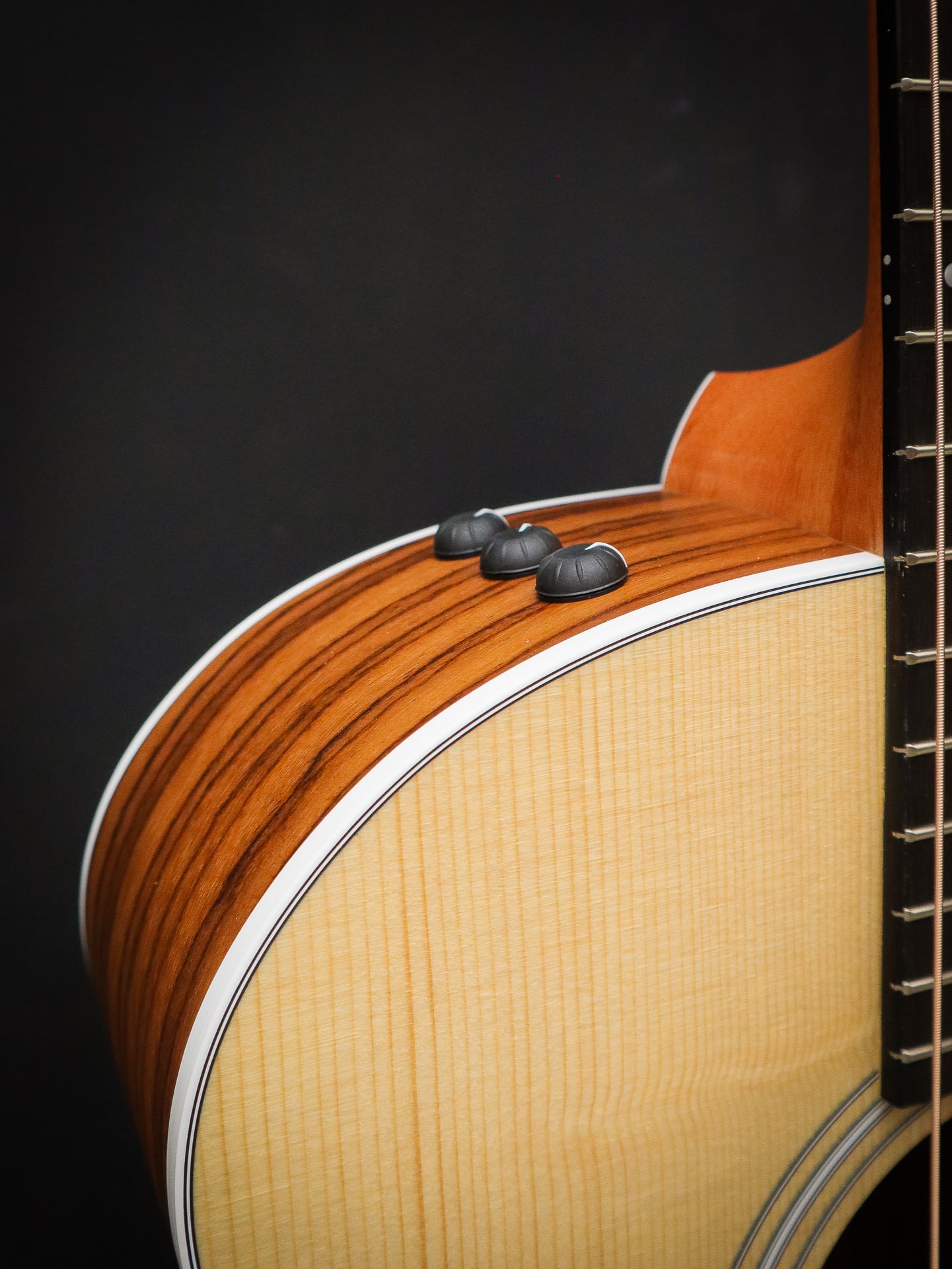 Taylor 214 CE - Kauffmann's Guitar Store